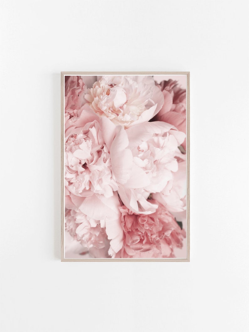 Peony Print DIY Print Flower Print Peony Wall Art Pink - Etsy Canada