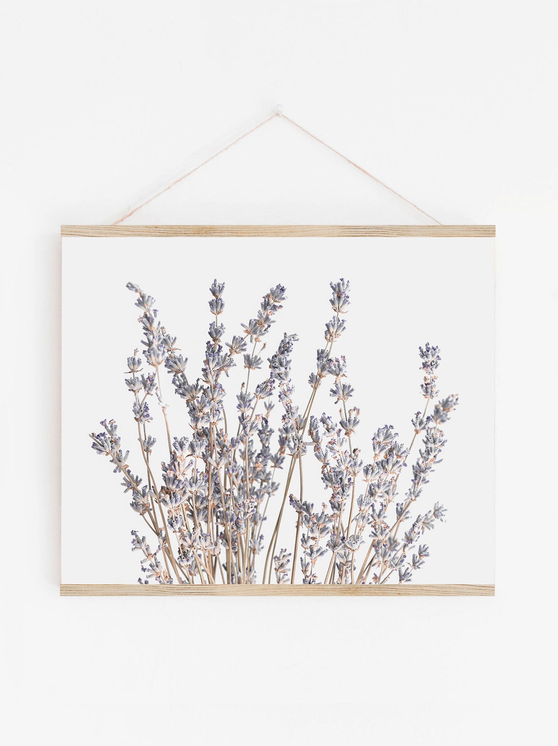 Digital Print Botanical Print Lavender Print Horizontal - Etsy