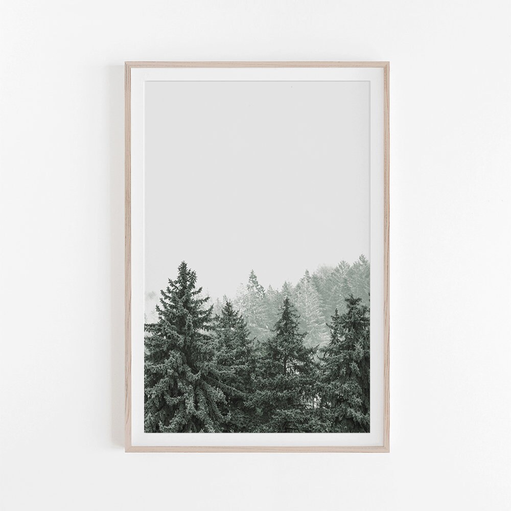 Set of 3 Prints Nature Prints Nature Wall Art Nature Decor - Etsy