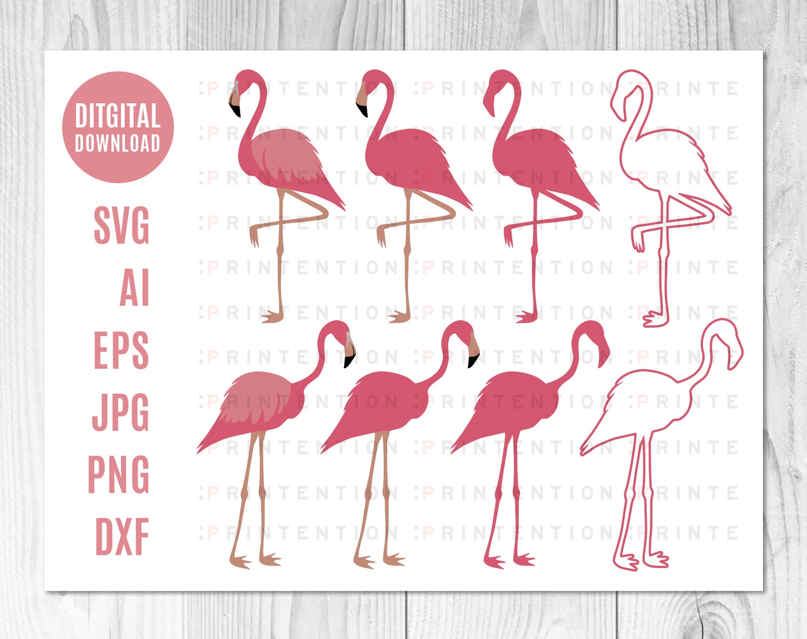Flamingo SVG Cut File Clipart PNG Flamingos Download Original Vector ...