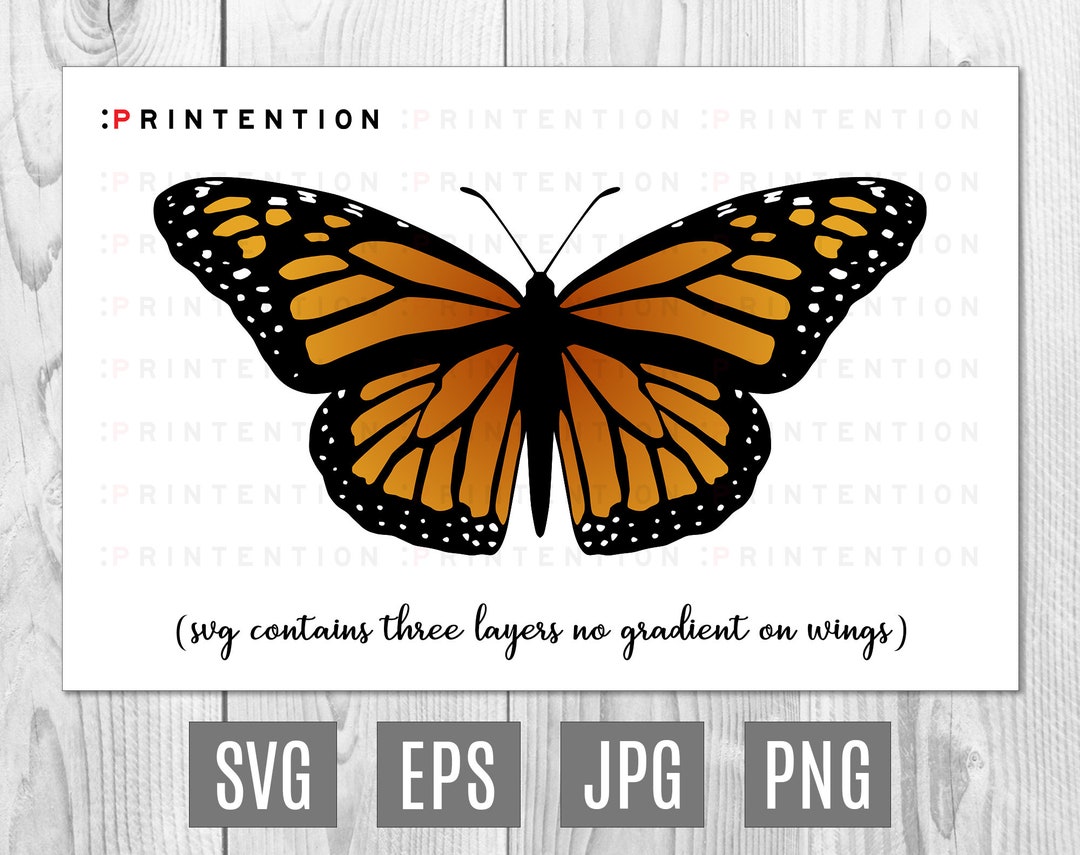 MONARCH BUTTERFLY SVG Cut File Craft Clipart - Realistic Insect Digital ...