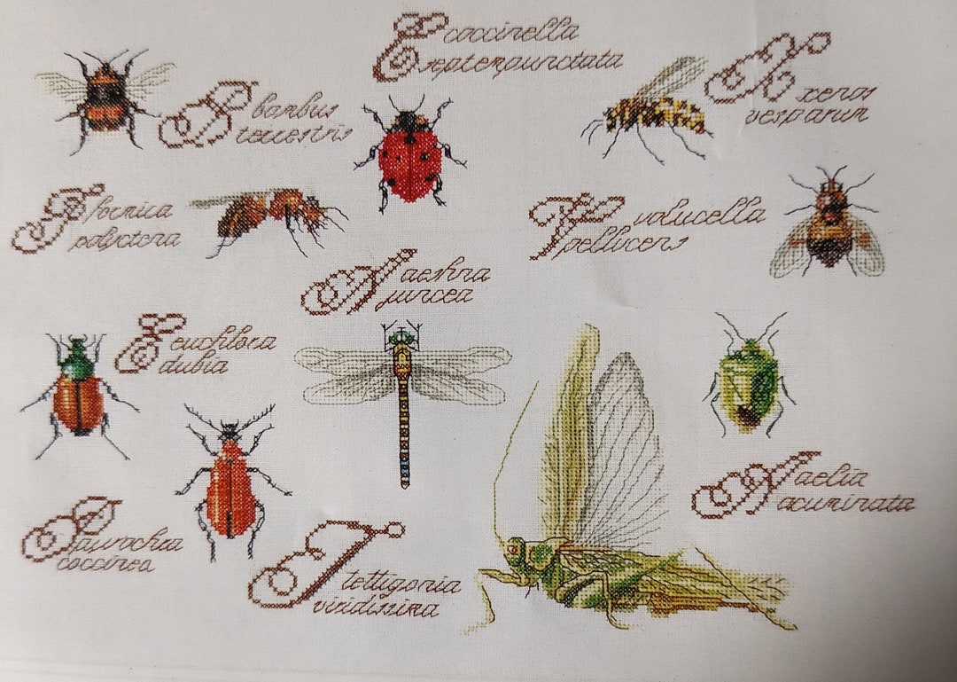 Kit Thea Gouverneur "insekten" (insects) Cross-stitch; Includes Chart ...