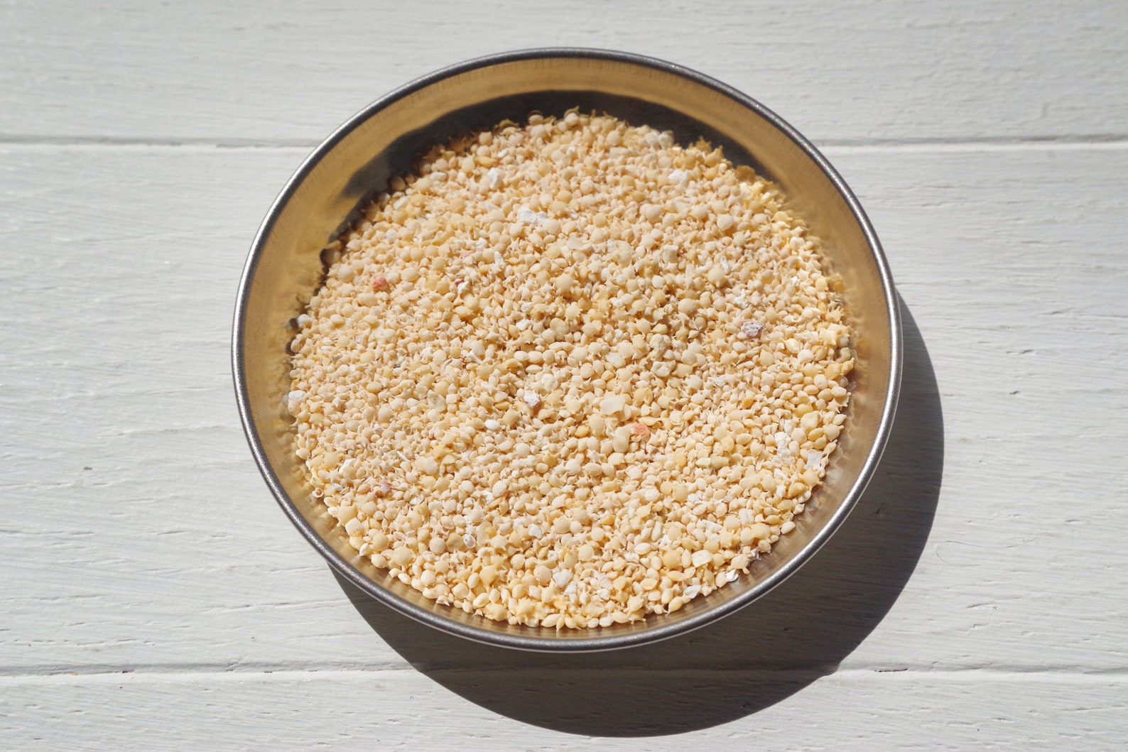 20g / Okinawa Star Sand / SUPER RARE / 100% Genuine & Natural - Etsy