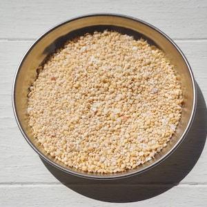 20g / Okinawa Star Sand / SUPER RARE / 100% Genuine & Natural ...