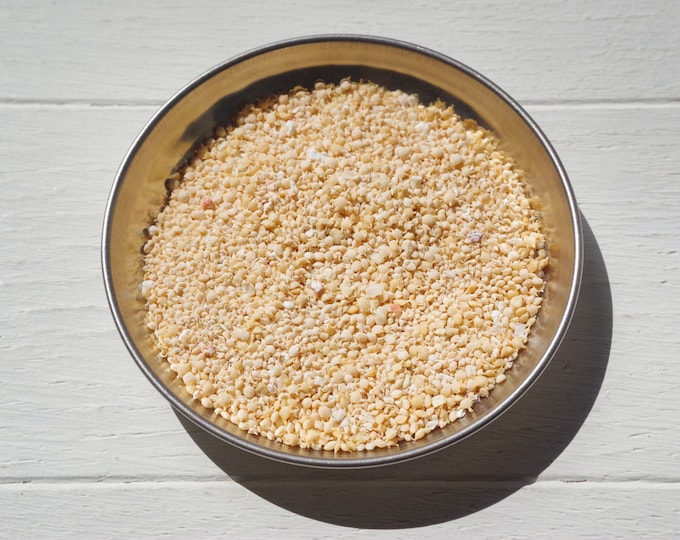 20g / Okinawa Star Sand / SUPER RARE / 100% Genuine & Natural ...