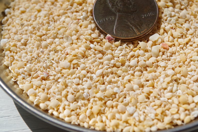 20g / Okinawa Star Sand / SUPER RARE / 100% Genuine & Natural | Etsy