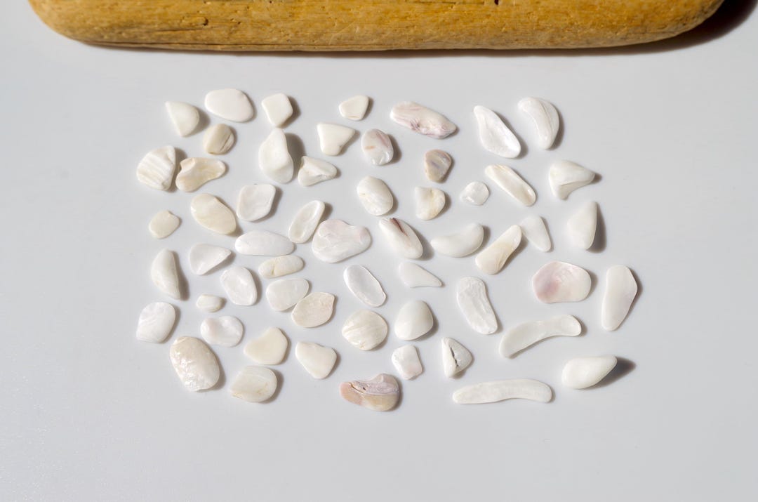 Tiny / White Color / Surf-tumbled Shell / Natural Shell Flakes ...