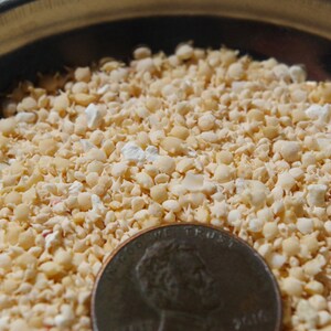 20g / Okinawa Star Sand / SUPER RARE / 100% Genuine & Natural ...