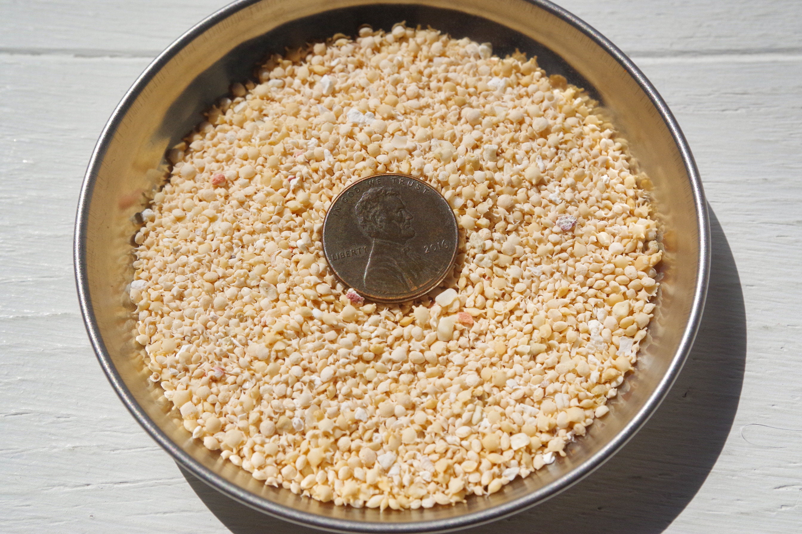 20g / Okinawa Star Sand / SUPER RARE / 100% Genuine & Natural - Etsy