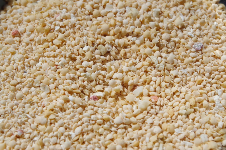 20g / Okinawa Star Sand / SUPER RARE / 100% Genuine & Natural | Etsy