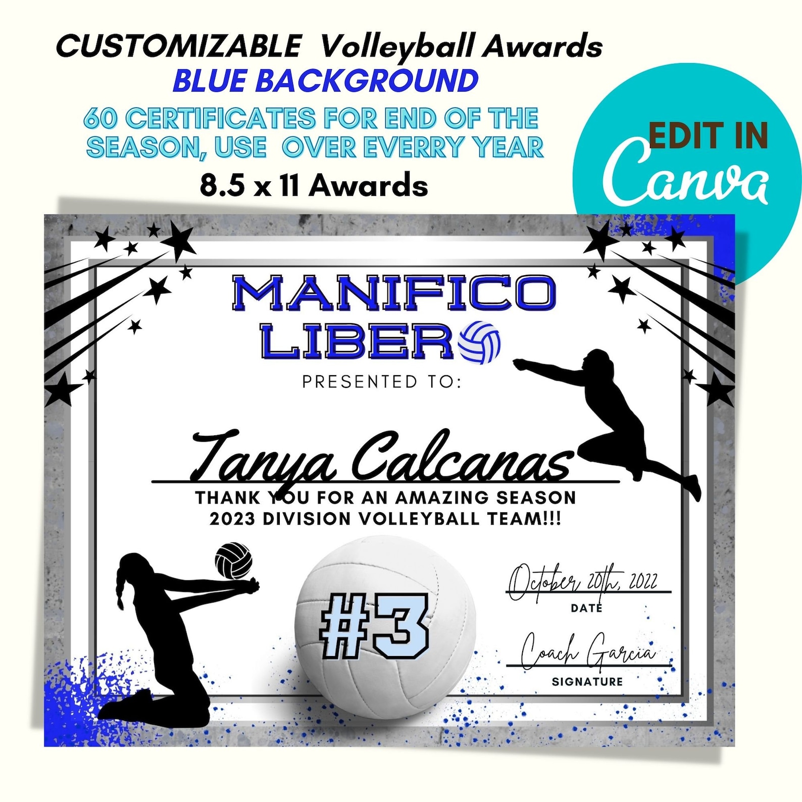 End of the Season Volleyball Player Award Certificates, | 60 Team ...