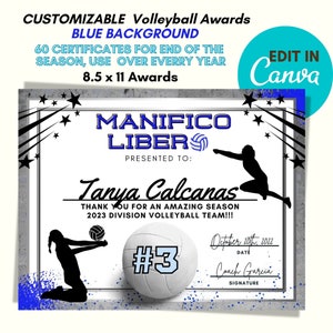 End of the Season Volleyball Player Award Certificates, | 60 Team ...