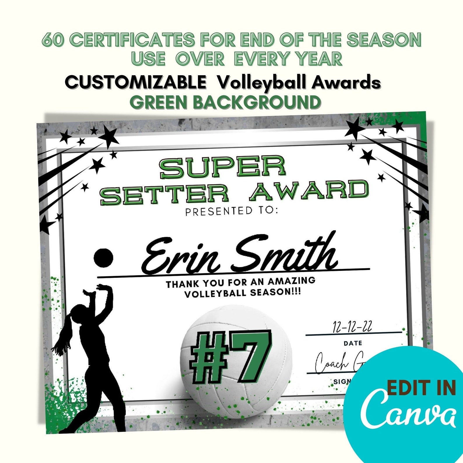 Volleyball Player Award Certificates GREEN Teams 60 Team - Etsy