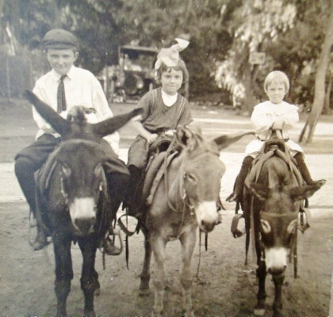 Unsent 1909 Real Photo Postcard Children on Donkeys at Cheyenne Cañon ...