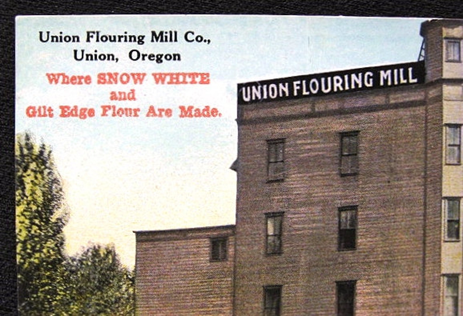 Real Photo Postcard Union Flouring Mill Union Oregon | Etsy