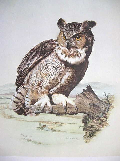 The Lookout -- Signed Numbered E. Howard Burger Owl Print - Etsy