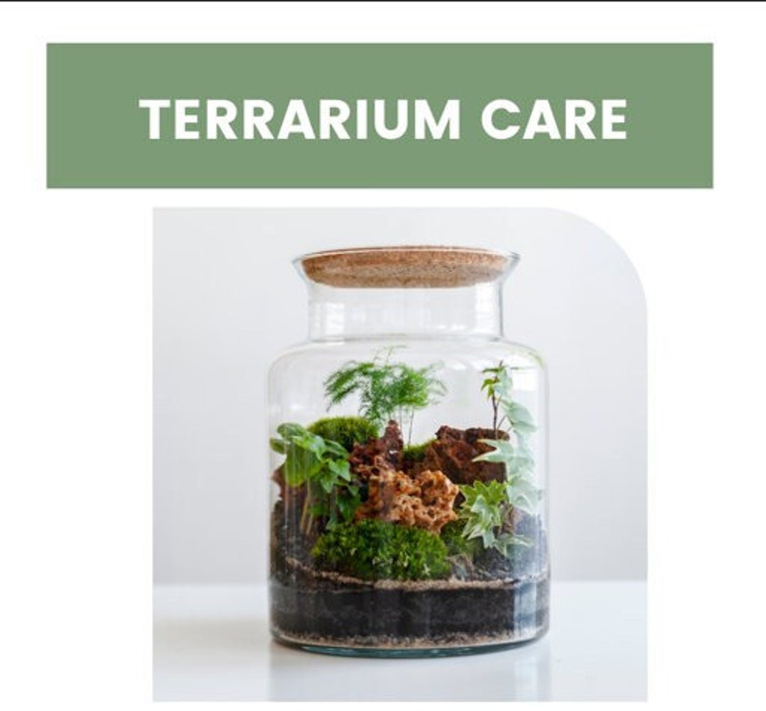 Printable Terrarium Care Leaflet - Etsy