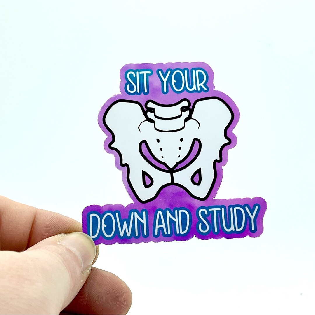 Sit Your (pelvis) Down and Study (purple) Medical, Nursing, PT Student ...