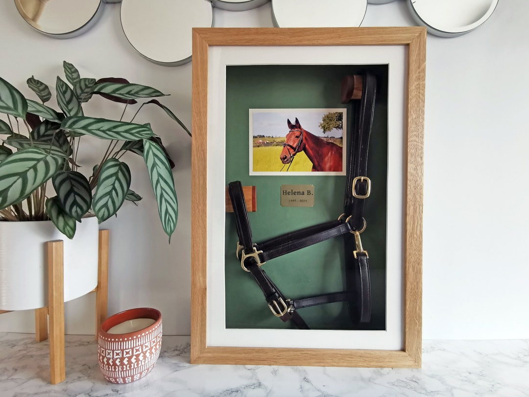 Horse Halter Memorial Shadow Box – Personalized Equine Keepsake Frame ...
