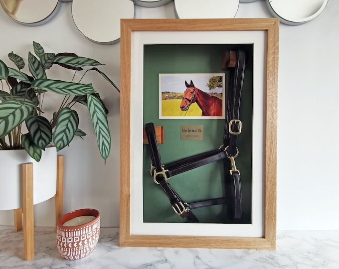 Horse Memorial Frame Bridle Hanger Rosette Display Halter Frame Equine ...