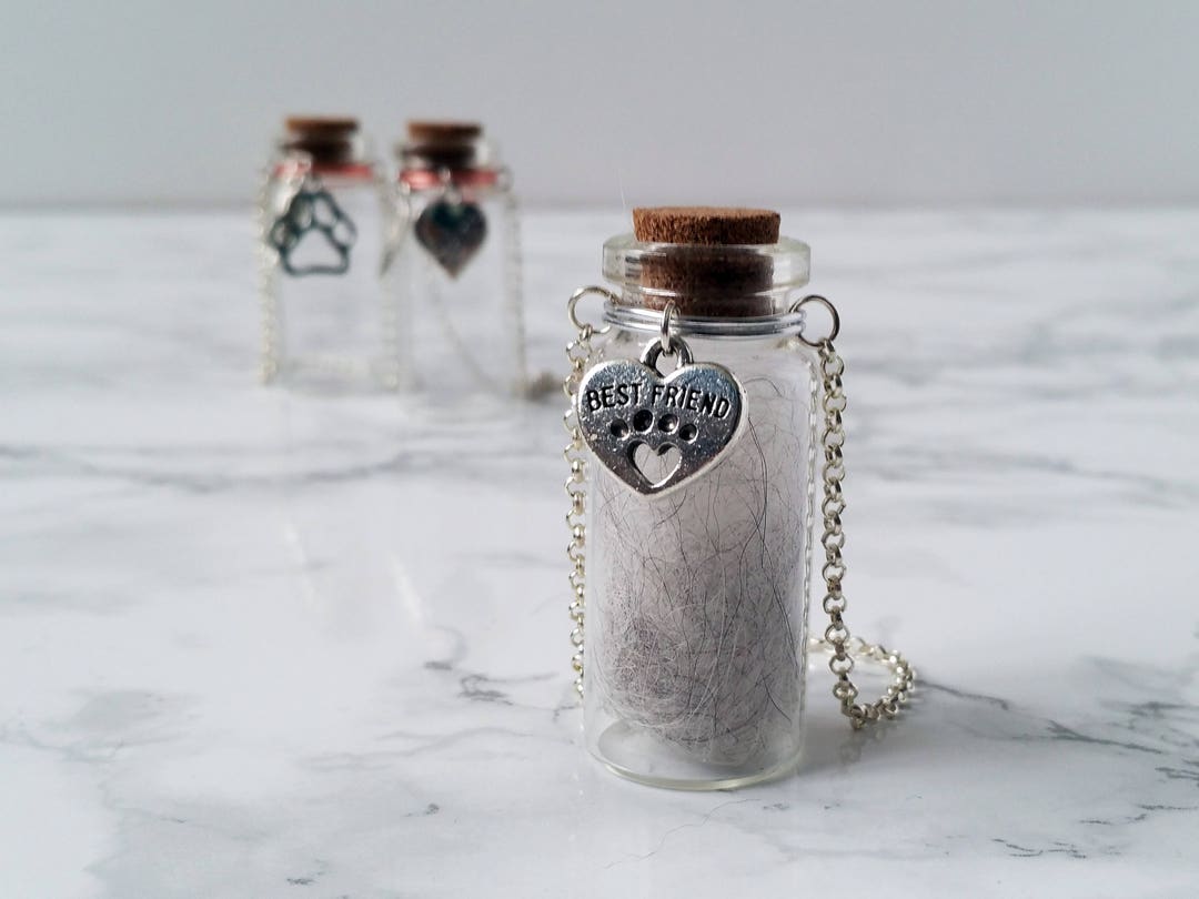 Pet Memorial Urn | Glass Vial for Ashes or Hair | Pet Loss Gift | Dog ...