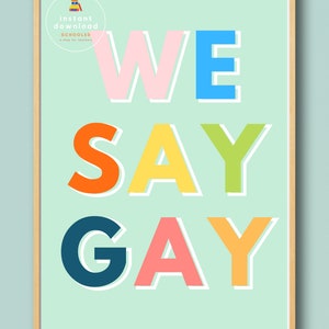 Say Gay Classroom Posters Safe Space LGBTQ Ally Queer Kids Digital ...