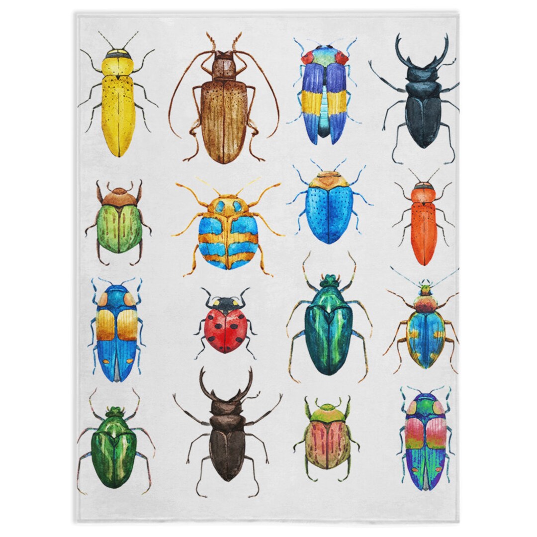 Bed Bugs for Babies, Minky Blankets (formerly Velveteen Blankets), Baby ...