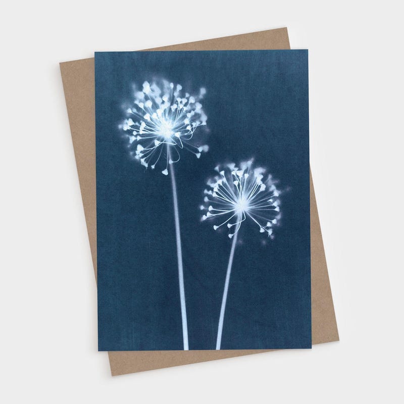 Botanical Cyanotype Cards - Etsy