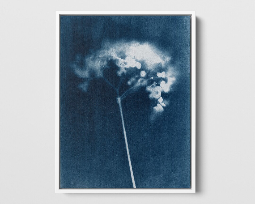 Indigo Blue Hydrangea Flower Cyanotype Reproduction, Navy Botanical ...