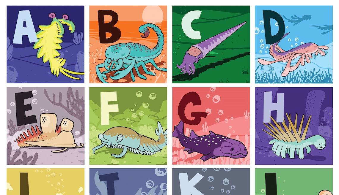 Prehistoric Alphabet Poster With Trilobite, Anomalocaris, Opabinia ...
