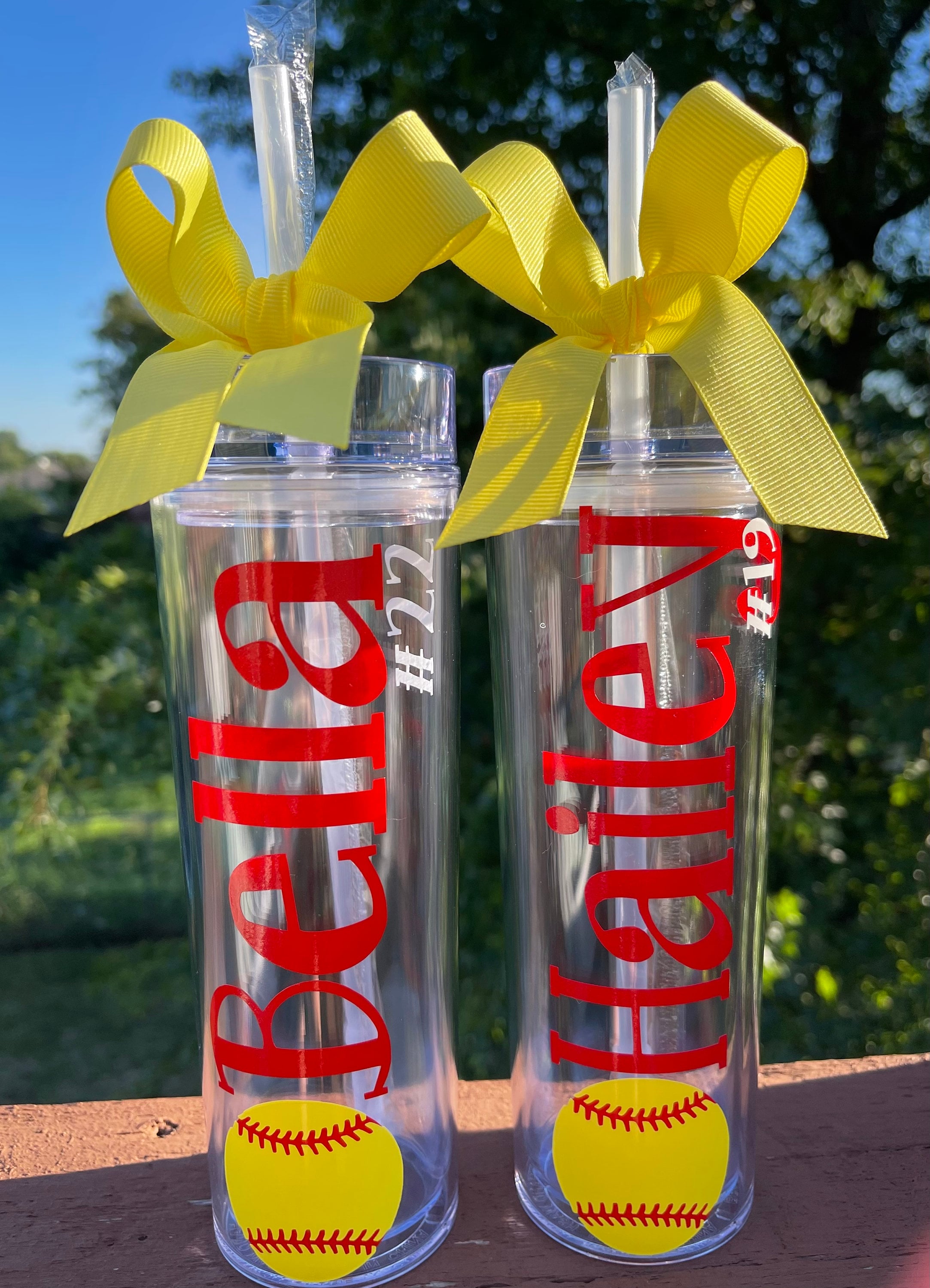 Softball Tumbler Personalized, Softball Gifts, Team Gifts, Coaches Gift ...