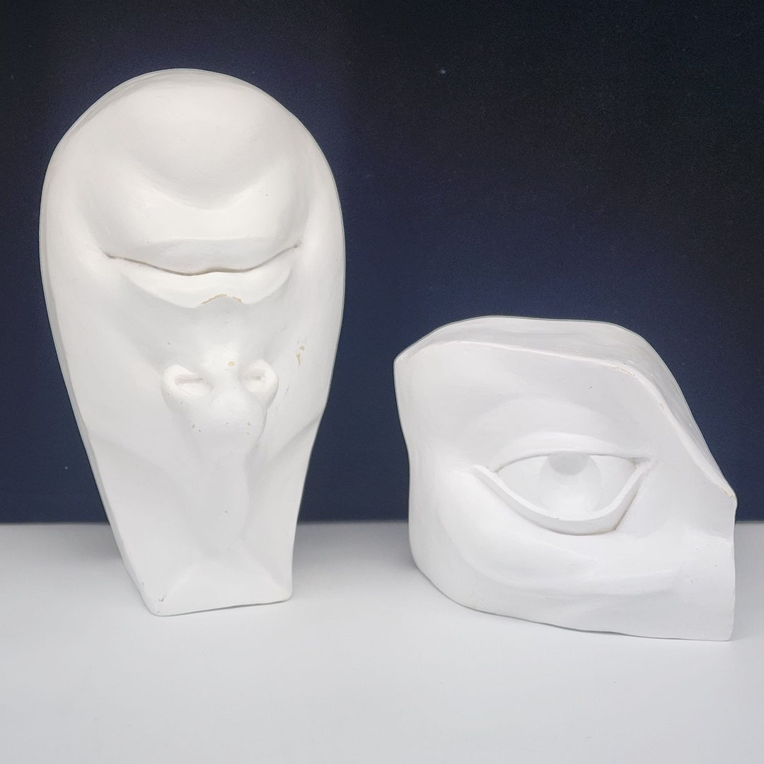 Artist's Foam Cast Drawing Sculpture Aids Eye & Nose and Mouth Facial ...