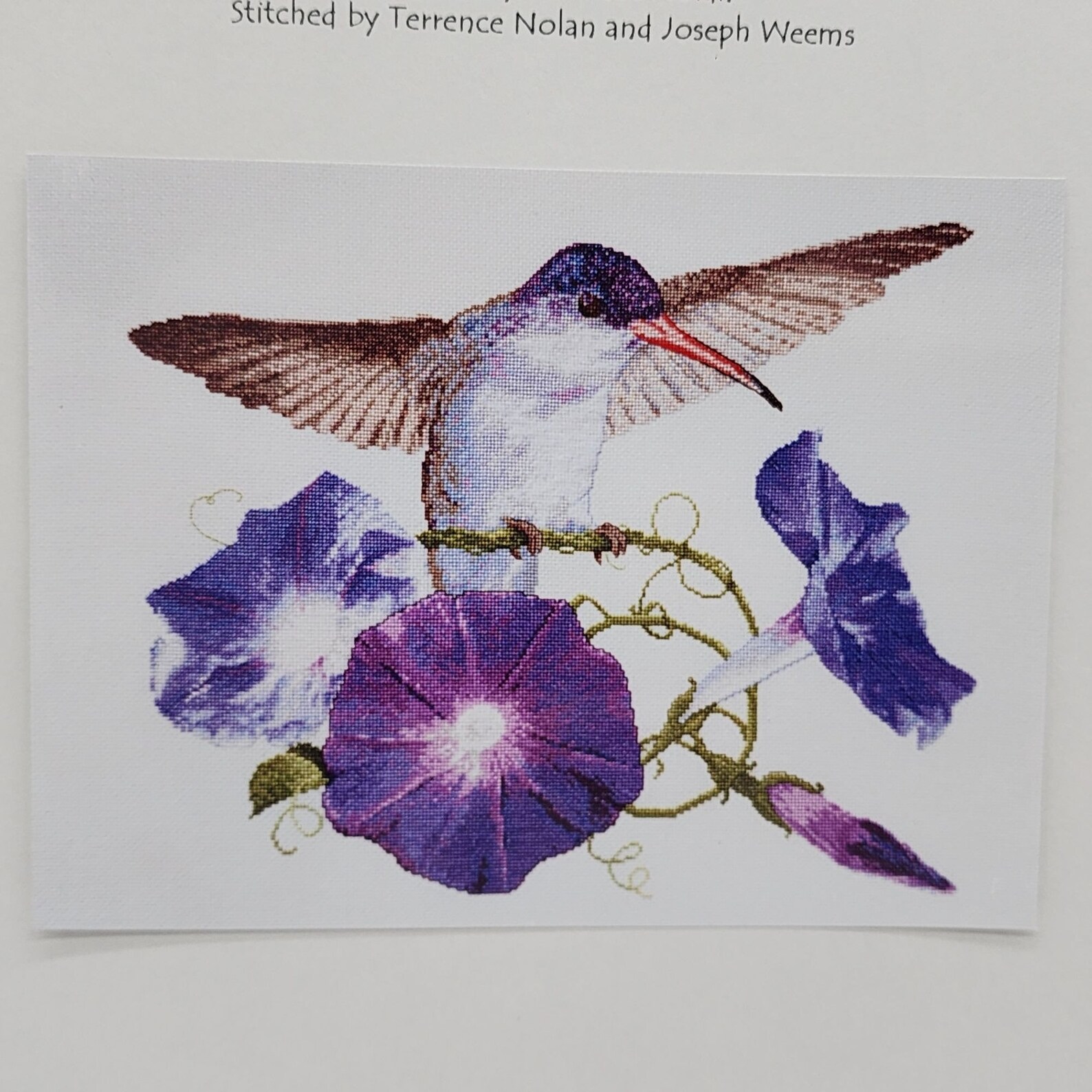 Dimples Counted Cross Stitch Pattern Hummingbird Zippy's - Etsy