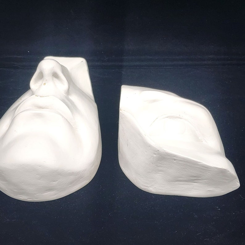 Artist's Foam Cast Drawing Sculpture Aids Eye & Nose and Mouth Facial ...