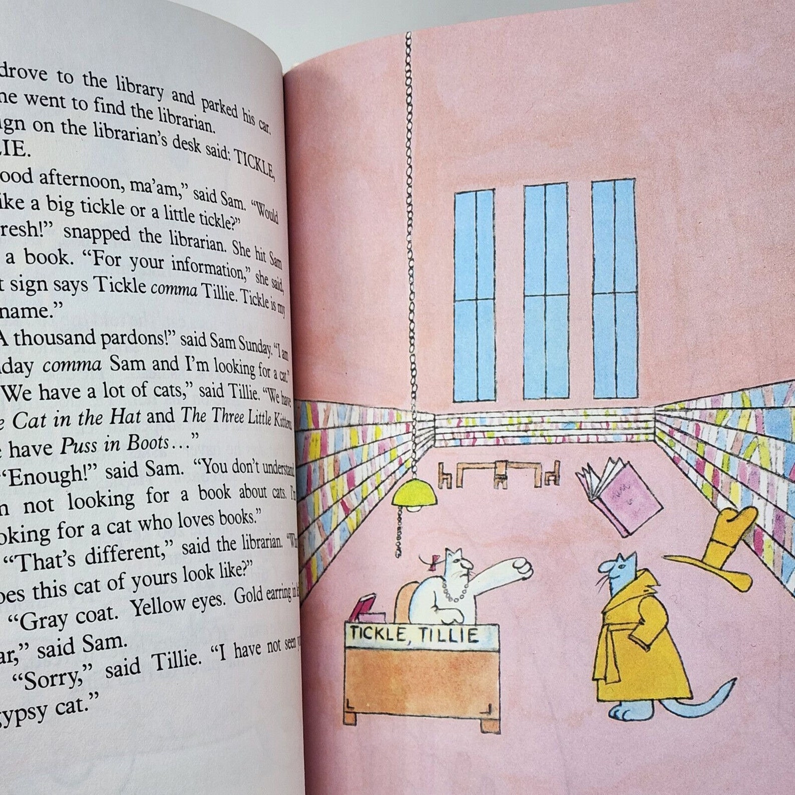 Sam Sunday and the Strange Disappearance of Chester Cats by Robin ...