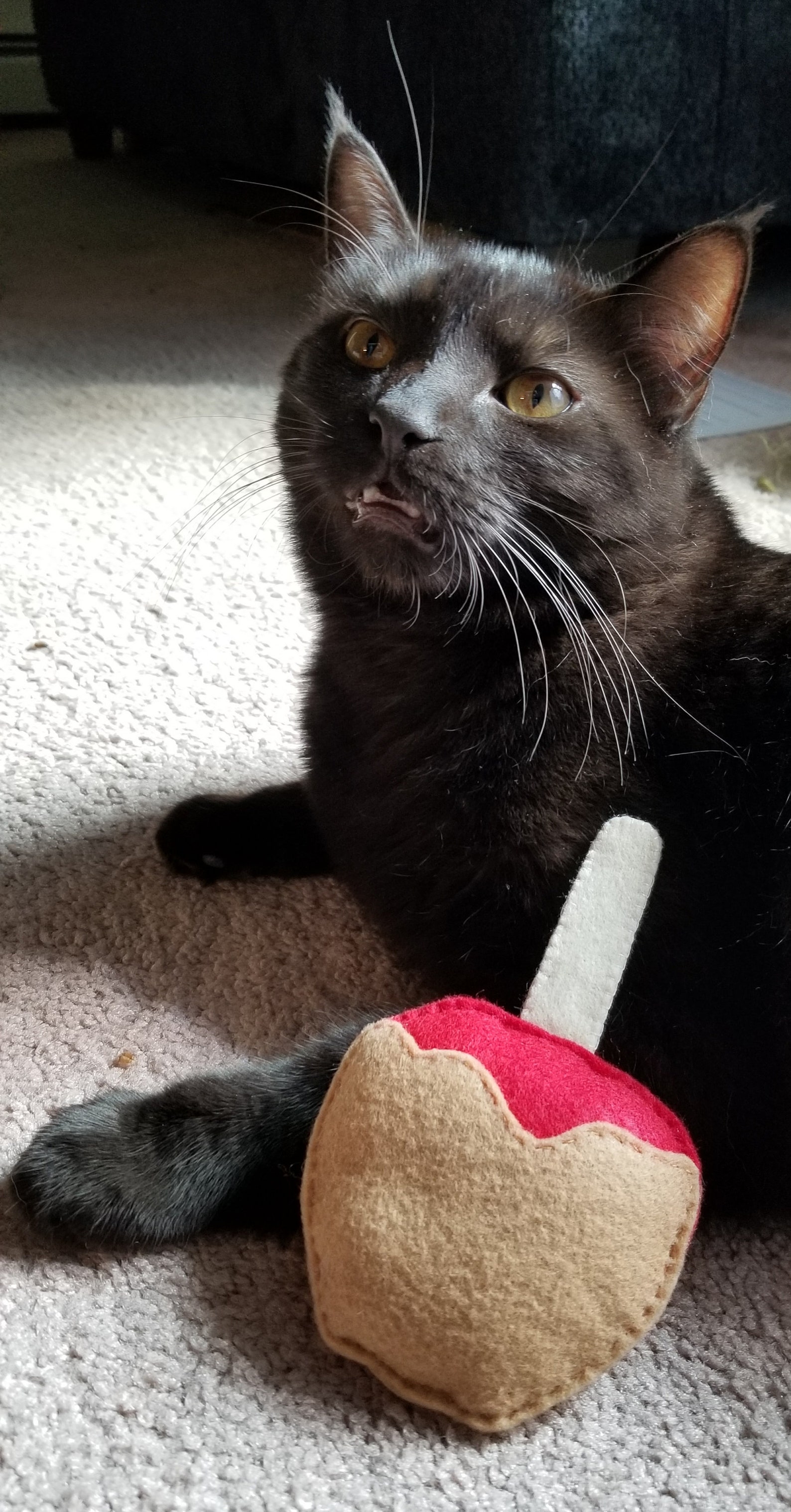 Caramel Apple Cat Toy - Etsy