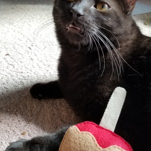 Caramel Apple Cat Toy - Etsy