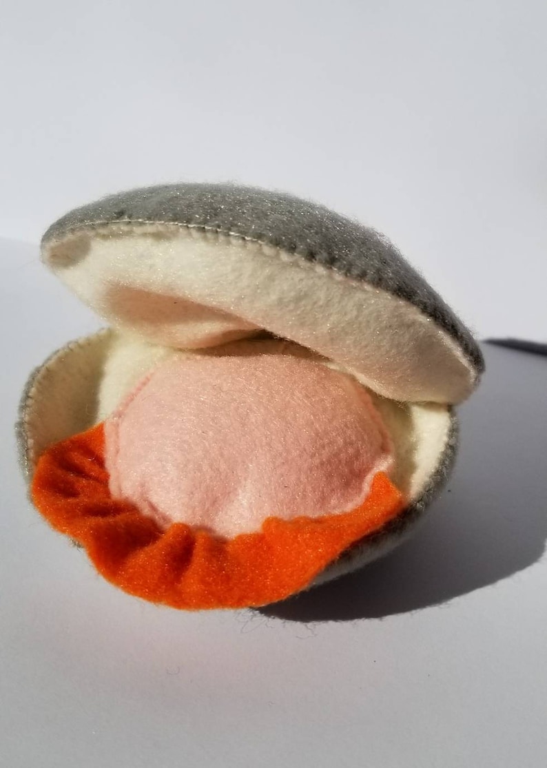 Clam Cat Toy | Etsy