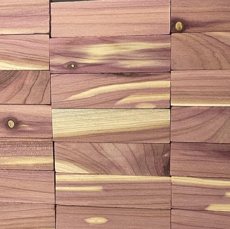 Fresh Red Cedar Wood Blocks: Natural Pest Repellent for Closets (32pcs ...