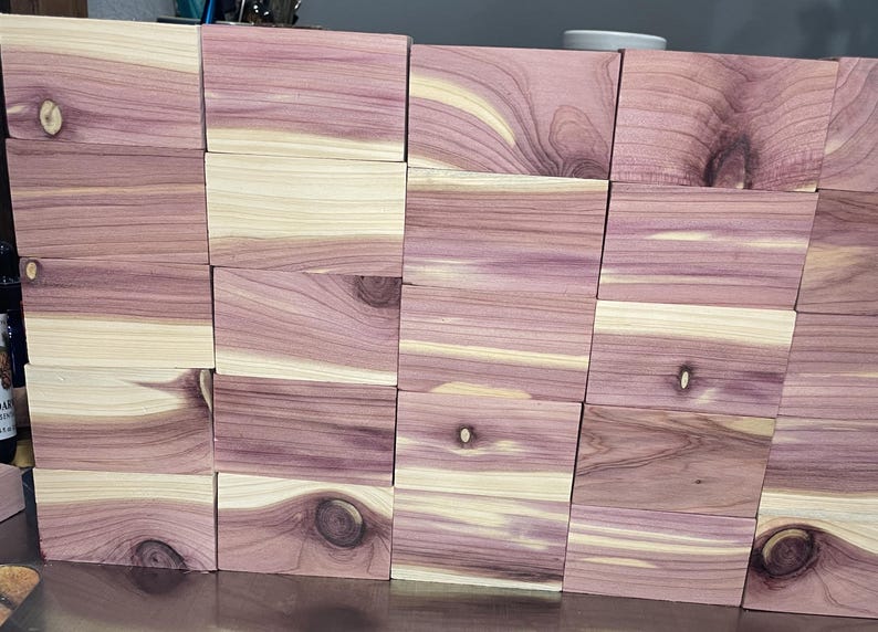 Fresh Red Cedar Wood Blocks: Natural Pest Repellent for Closets (32pcs ...
