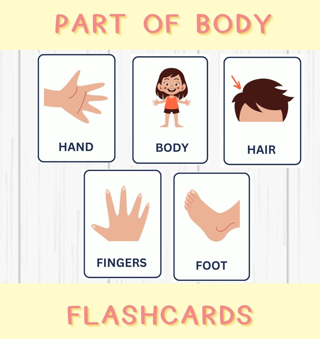 Body Parts Flashcards Printable, Montessori , Toddler Flashcards ...