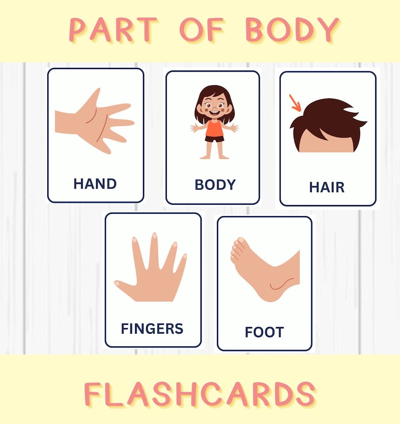 Body Parts Flashcards Printable, Montessori , Toddler Flashcards ...