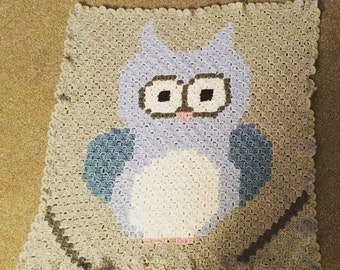 INSTANT DOWNLOAD 2 for 1 Graphgan C2C corner to corner crochet