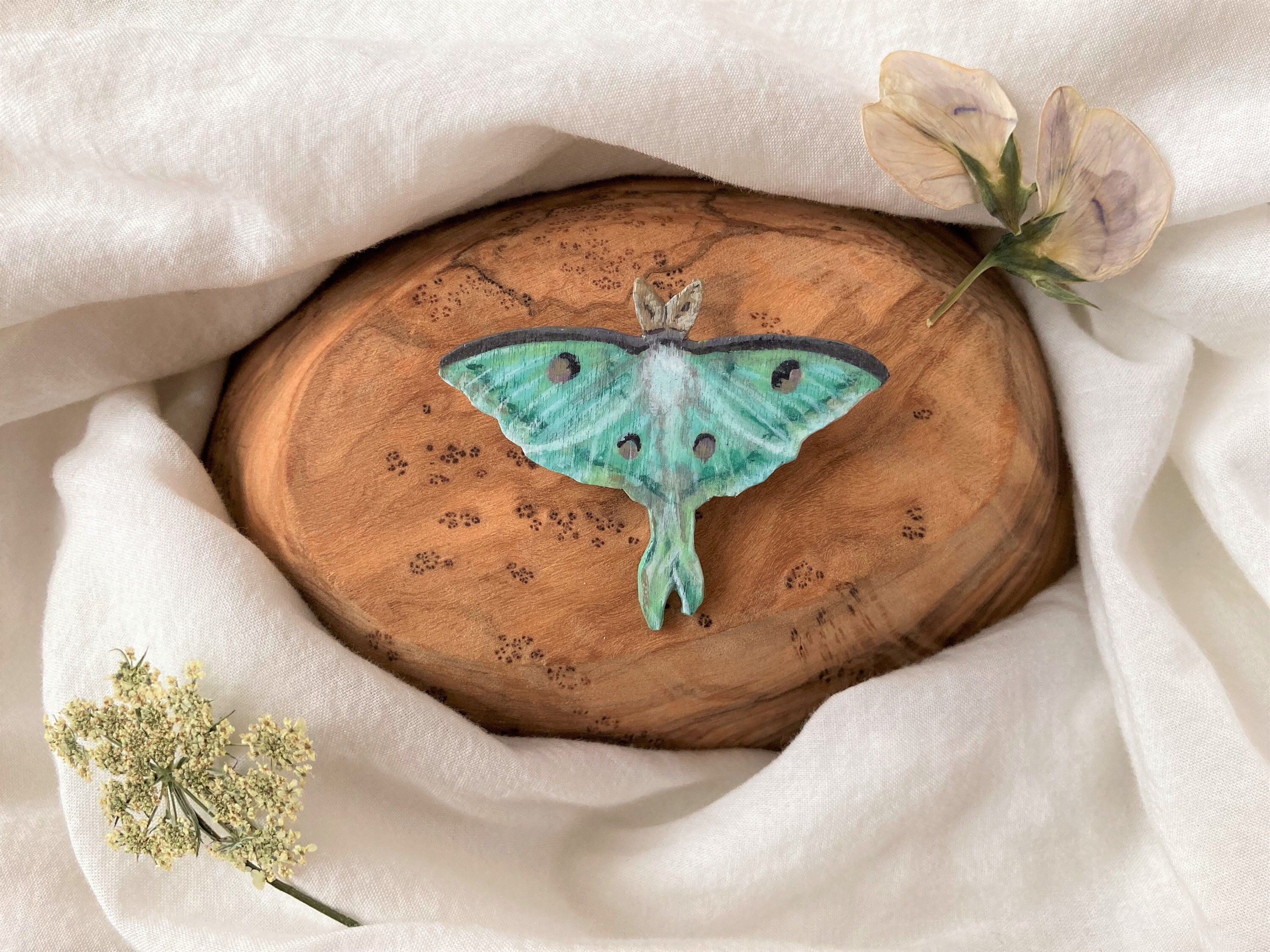 Handmade luna moth brooch Painted butterfly pin Green moth | Etsy