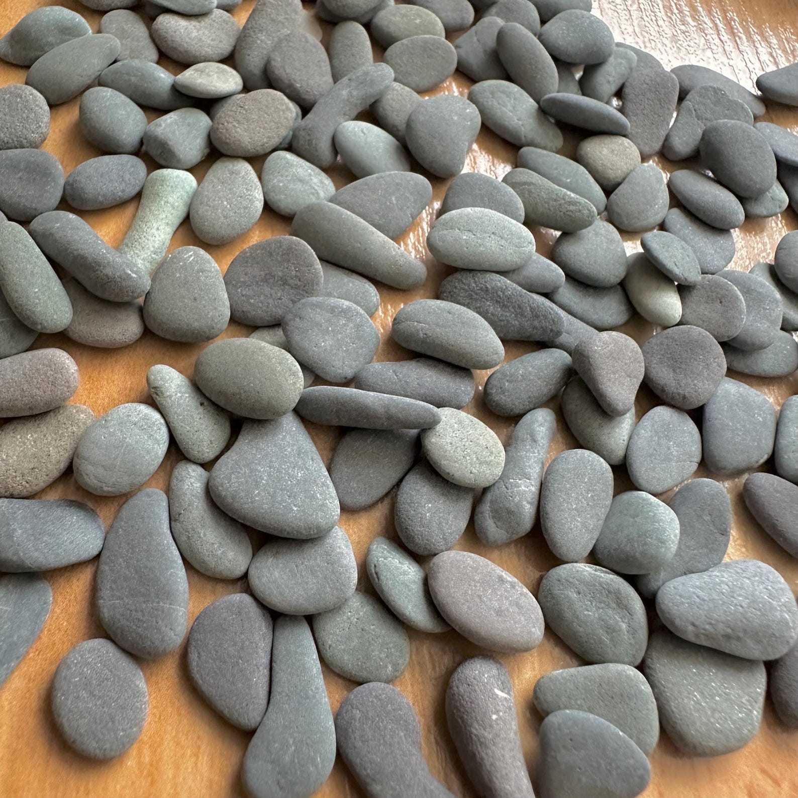 Small&midi Beach Stones/ Round Sea Stones/ Crafting Rocks/ Flat Stone ...