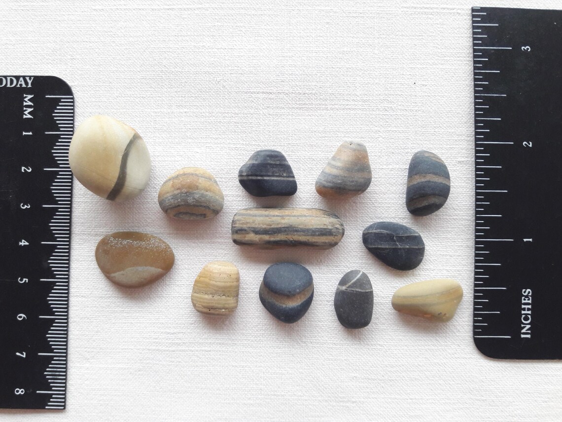 Finely Striped Pebbles, Assorted Ridged and Polished Pebbles, 15 Medium ...