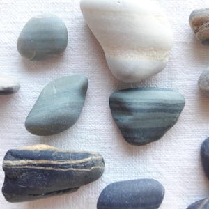 Finely Striped Pebbles, Assorted Ridged and Polished Pebbles, 15 Medium ...