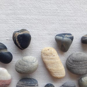 Finely Striped Pebbles, Assorted Ridged and Polished Pebbles, 15 Medium ...