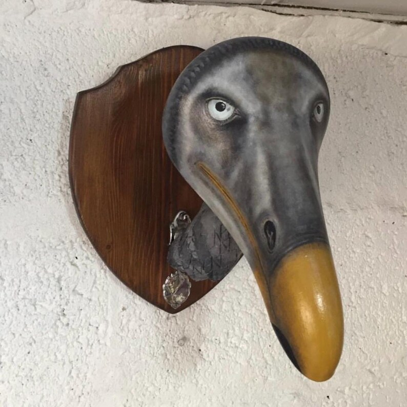 The Last Dodo Bicycle Taxidermy - Etsy