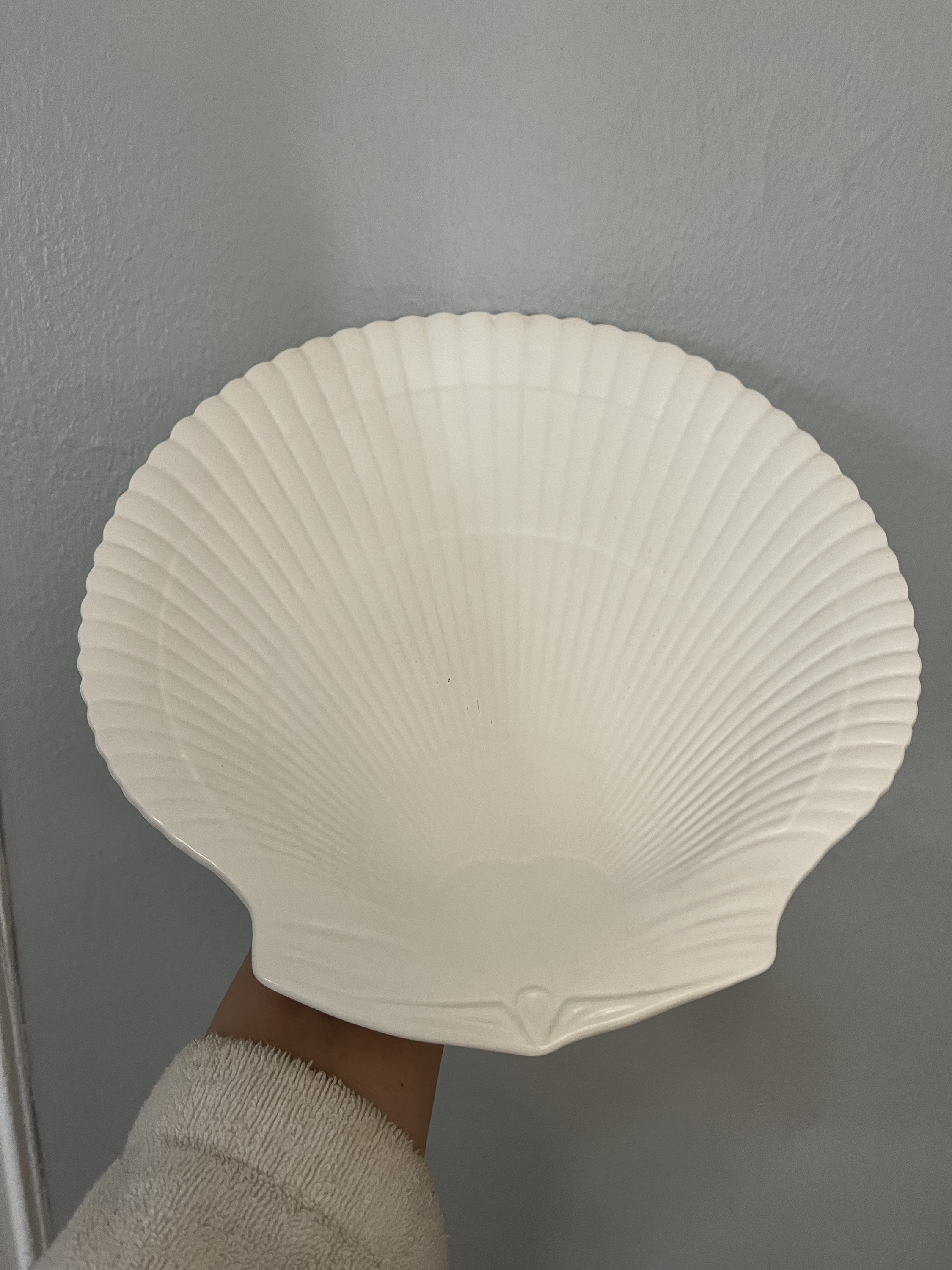 Wedgwood Etruria Nautilus Shell Dinner Plate Barlaston - Etsy